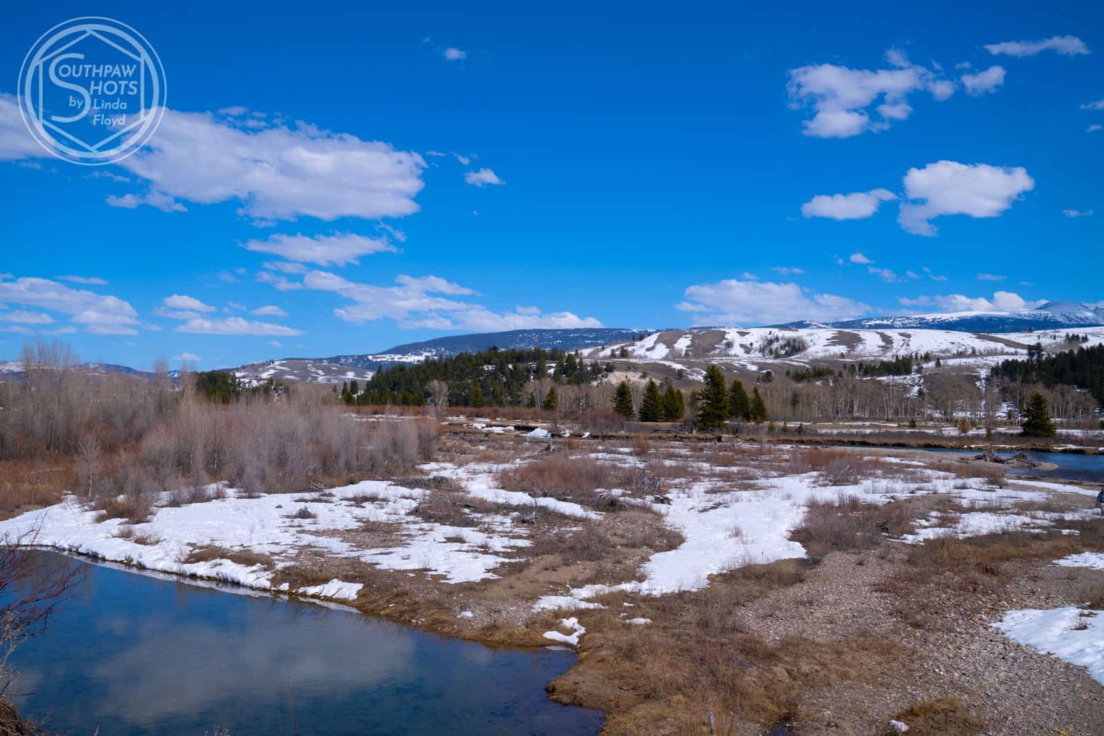 Teton Valley River - Southpaw Shots
